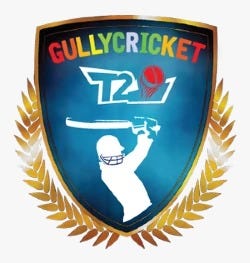T2 Gully Cricket Game – Medium