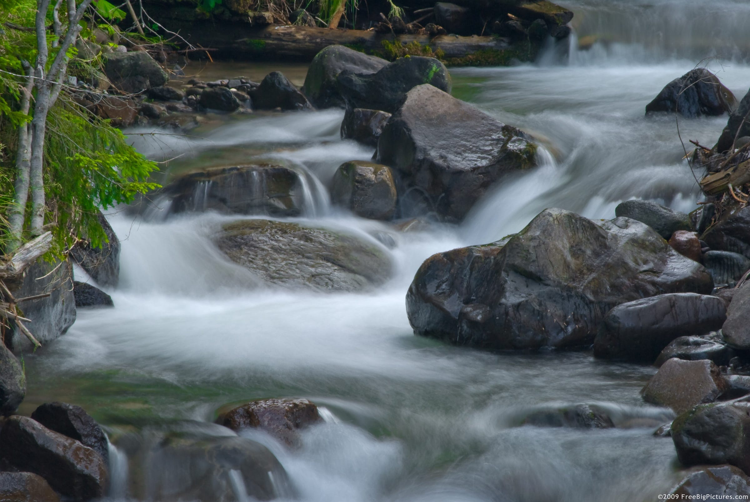 The Stream of Life.