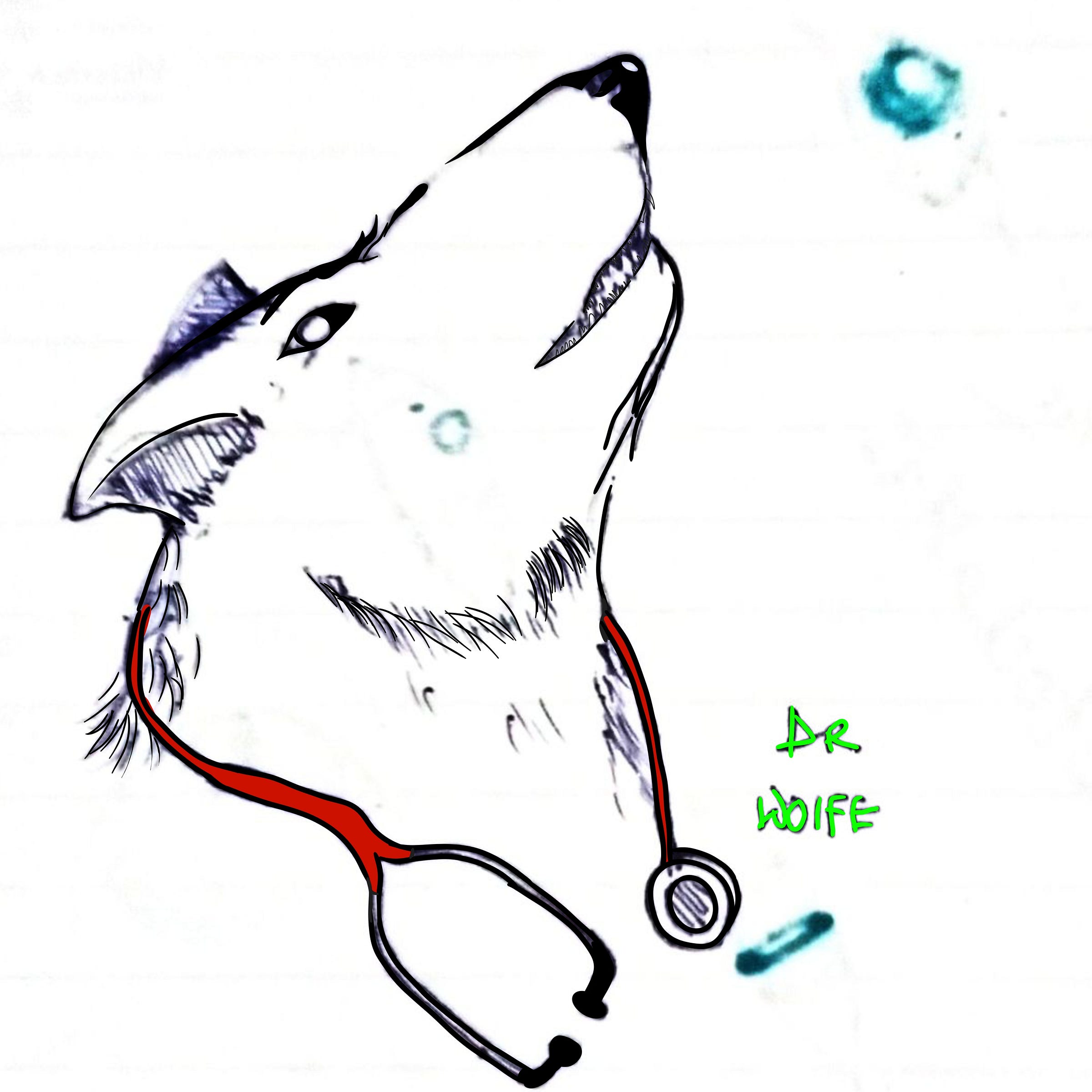 About – Dr Wolfe – Medium