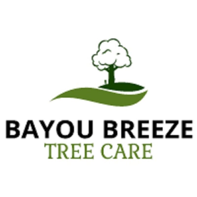 Bayou Breeze Tree Care – Medium
