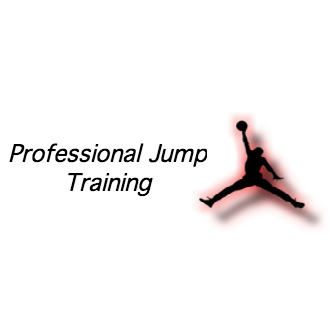 About – Flight Basketball – Medium