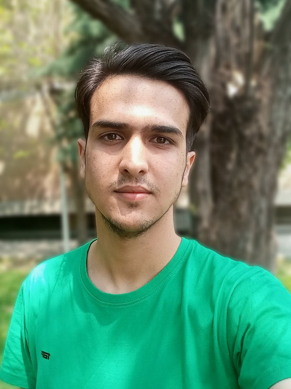 Amirhossein Zareian Medium