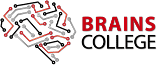 BRAINS DEVELOPER – Medium