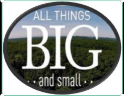 All things Big & Small – Medium
