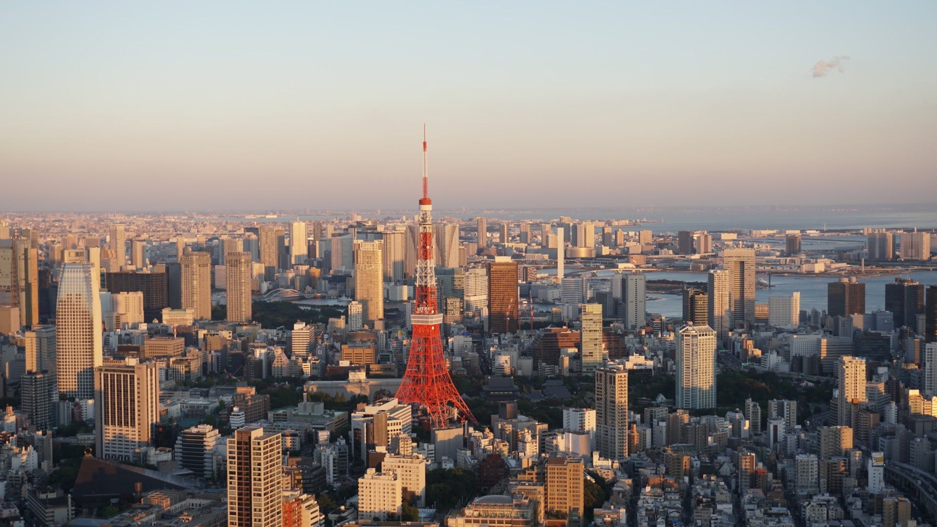 Explore Tokyo
