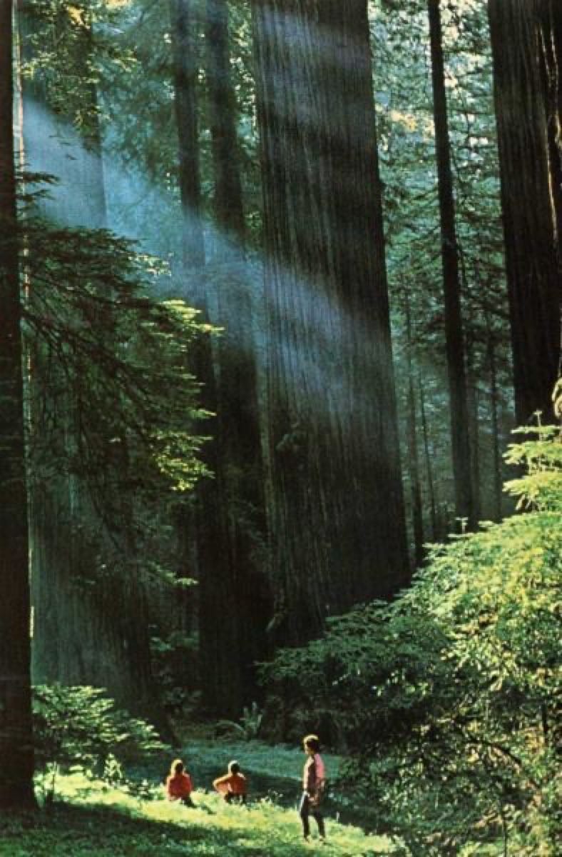 Daniel Barratt Johnson – Medium