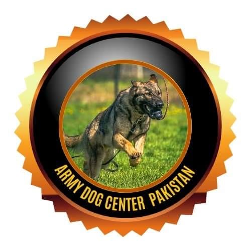 Army Dog Center Rawalpindi 0340-4081110 – Medium