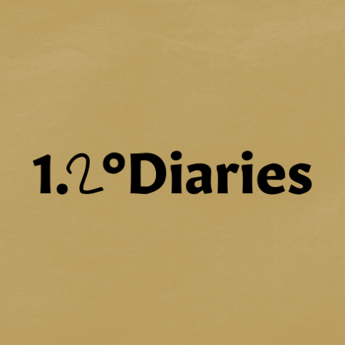 1.2 Diaries - Diaspora Climate Platform (ASBL) – Medium