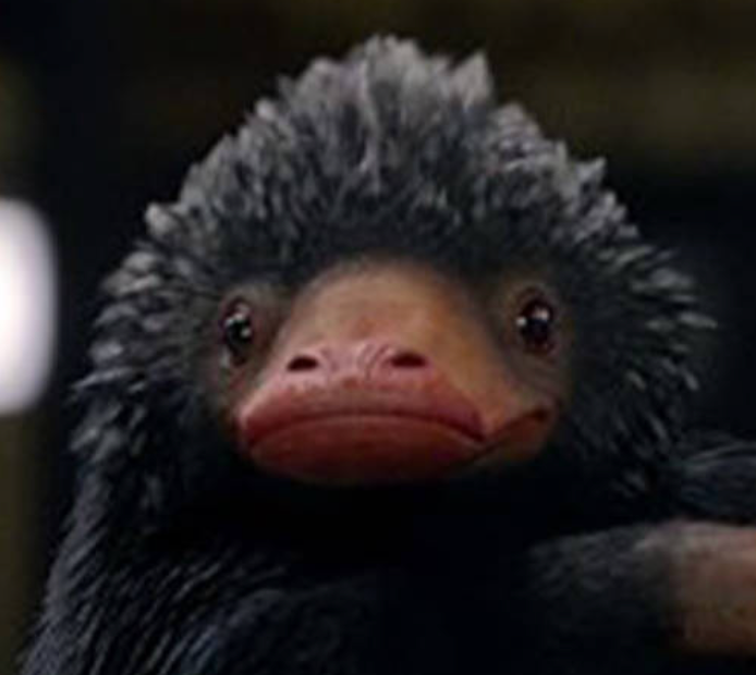 About – Tech Niffler – Medium
