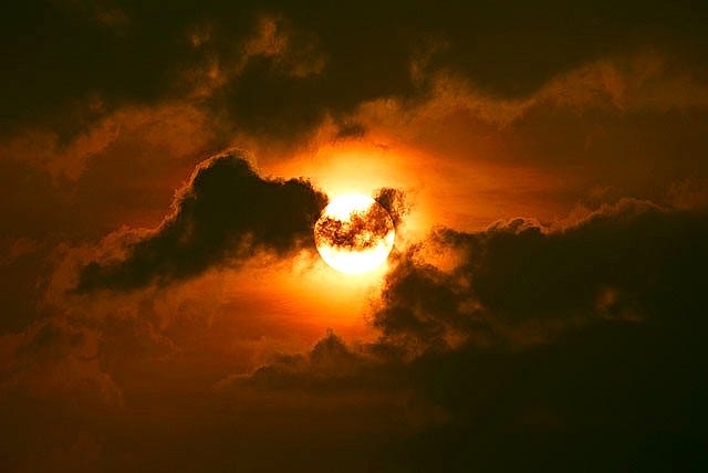Forever Untrammeled – Medium
