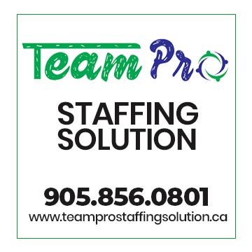 Team Pro Staffing Solution – Medium