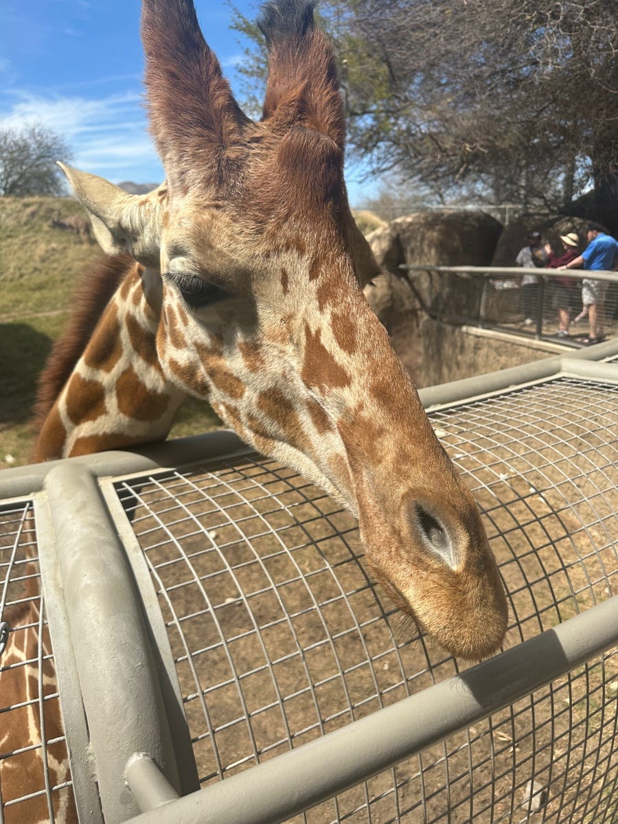 Masterclass Human – Medium