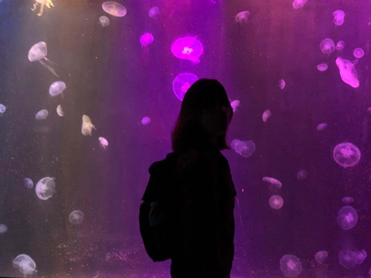 About – LJ – Medium