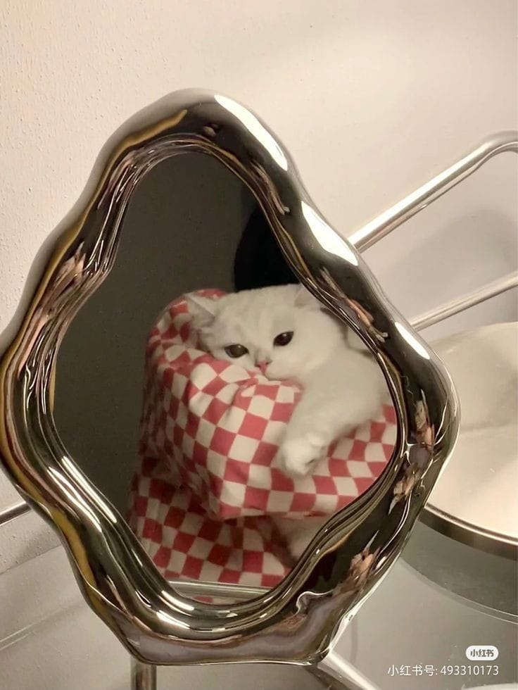 wulandari – Medium