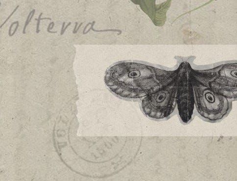 athifa. – Medium
