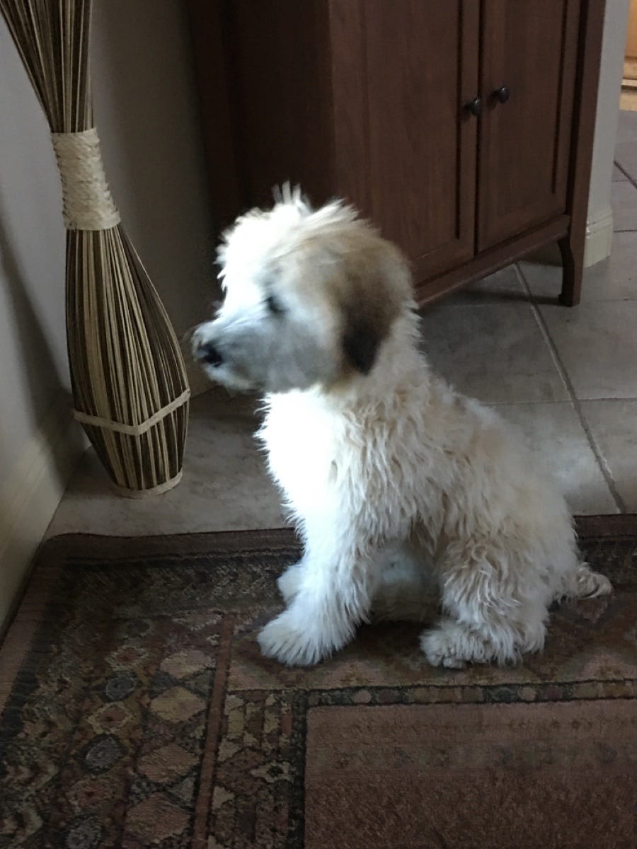 Paul Moret – Medium