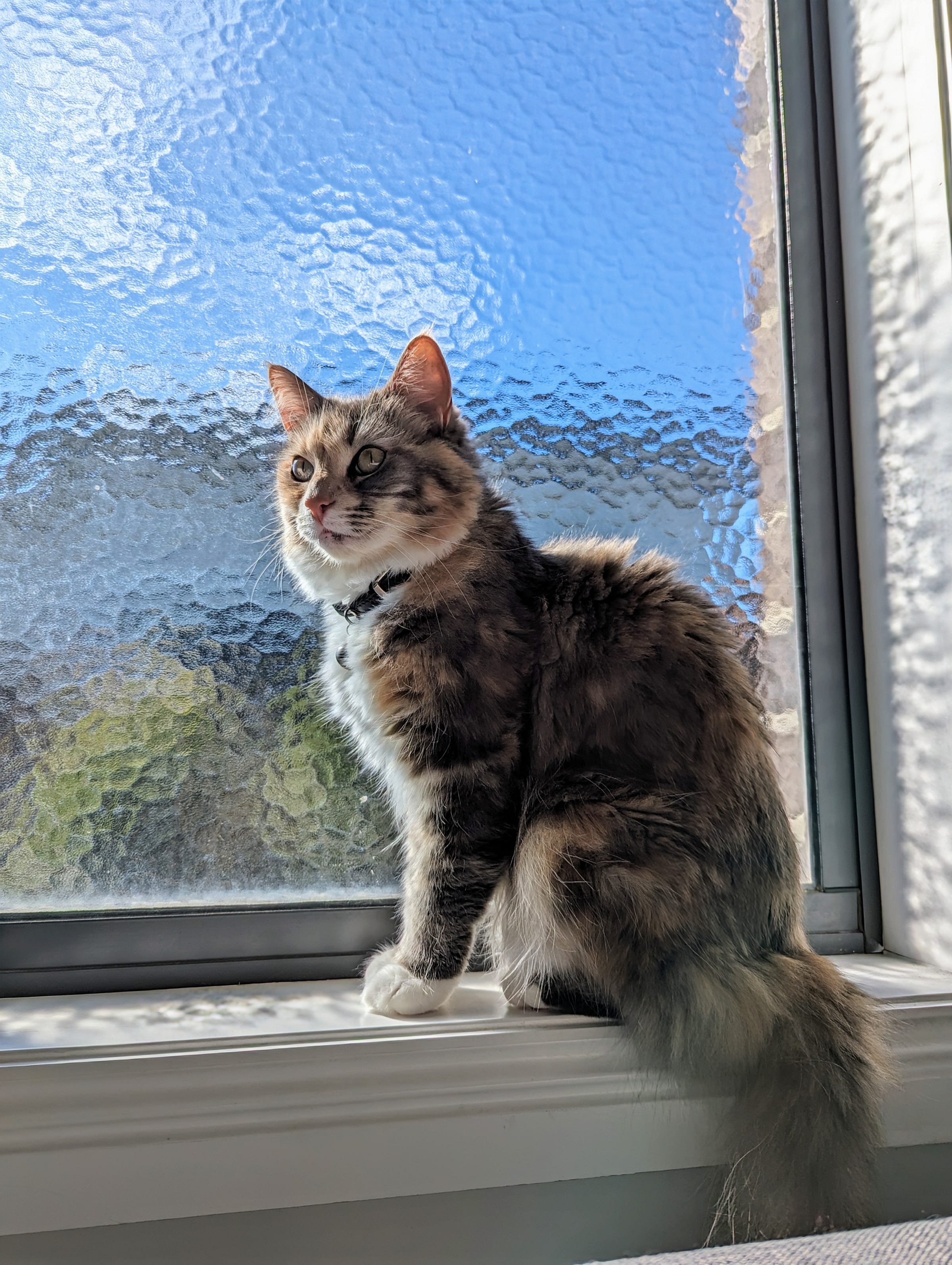 Sadie An – Medium