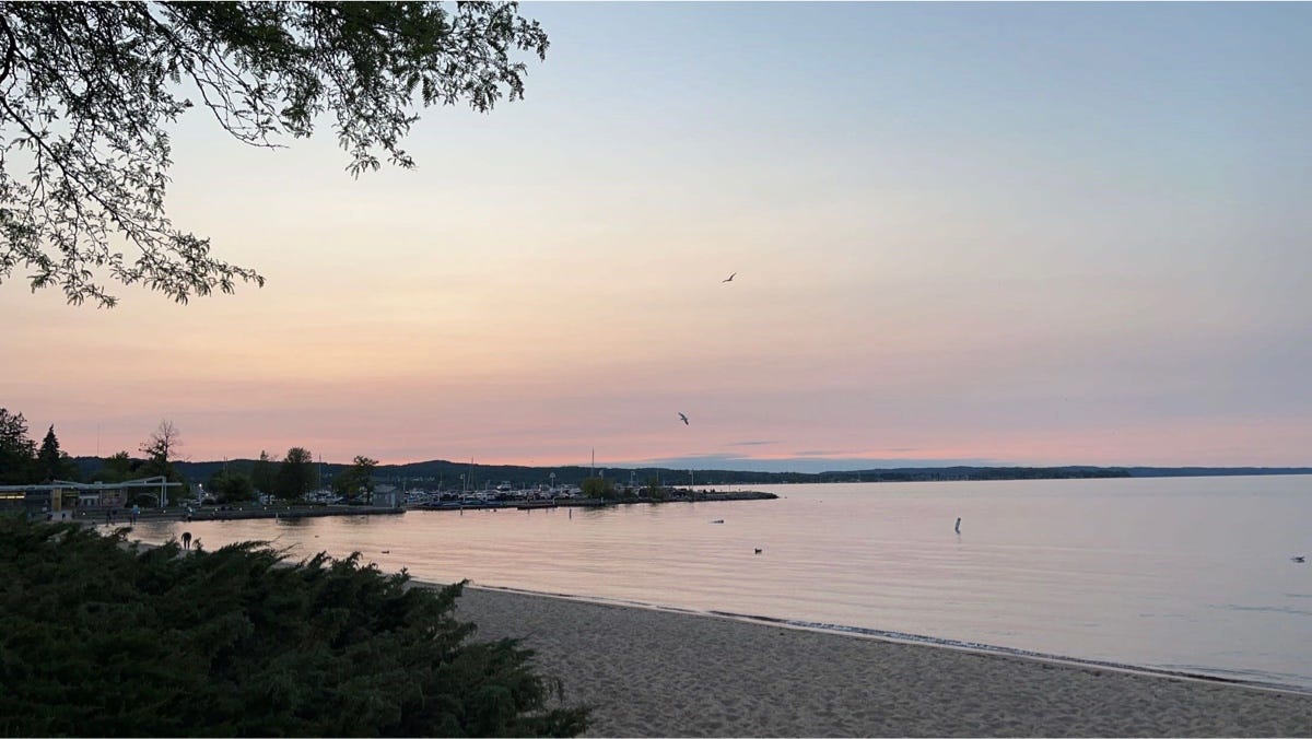 Meghan P. – Medium