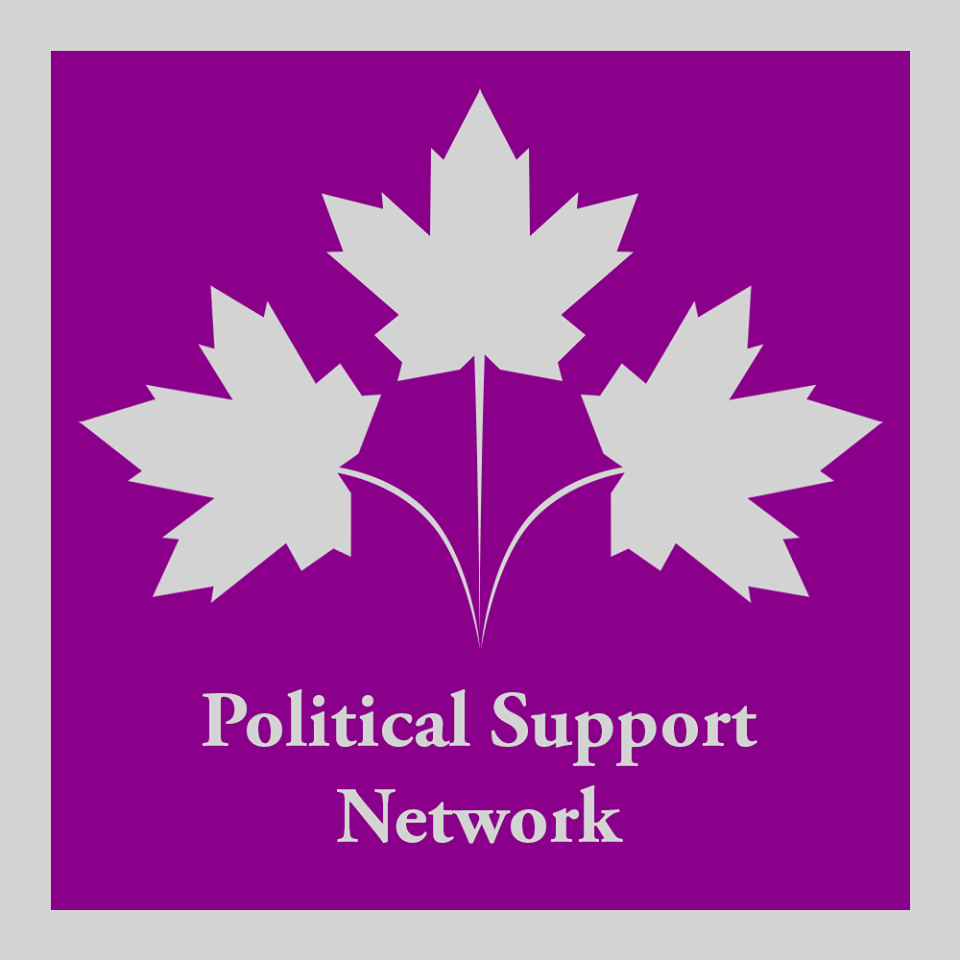 Political Support Network – Medium