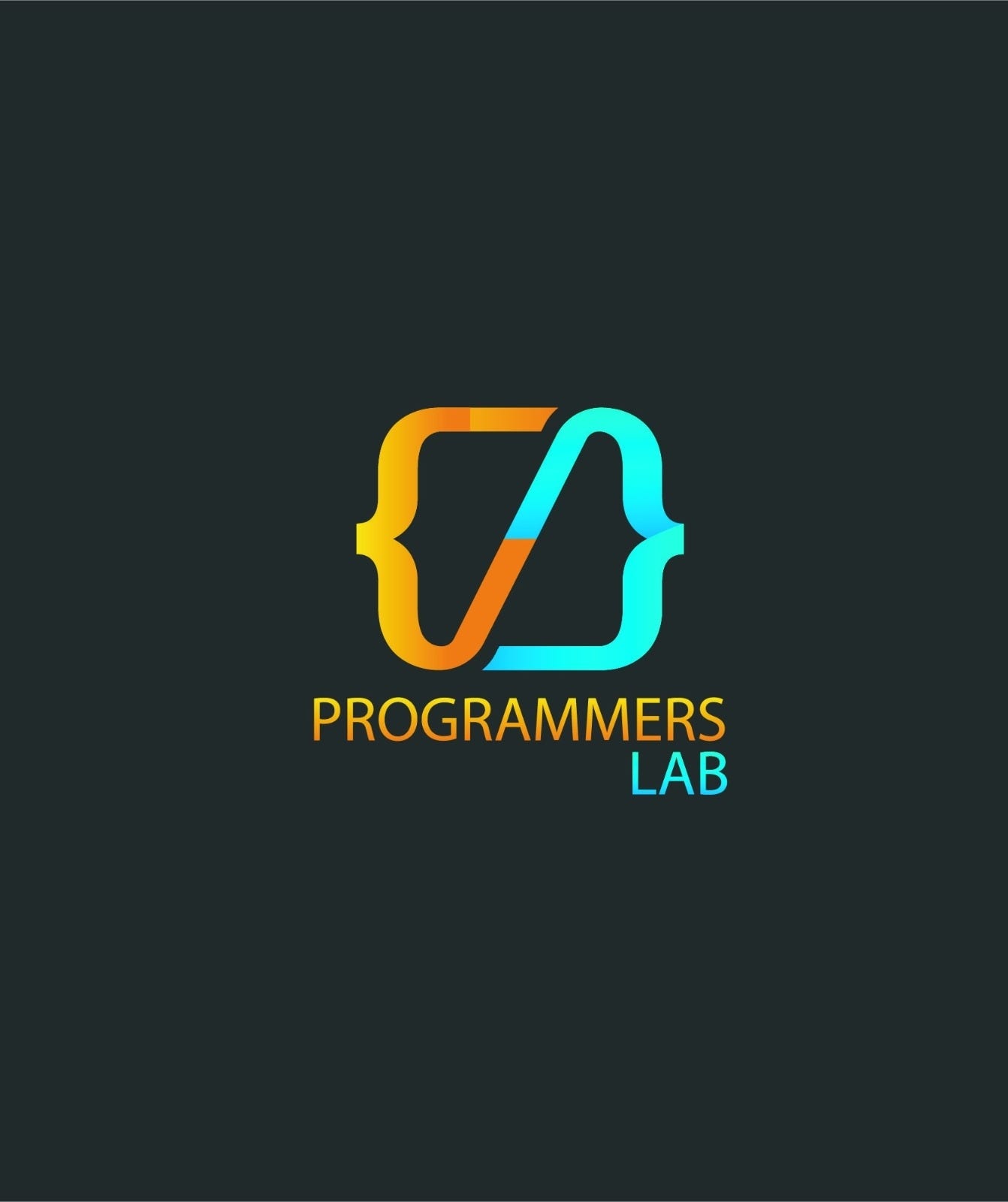 Programmers Lab Tranning Instituite – Medium