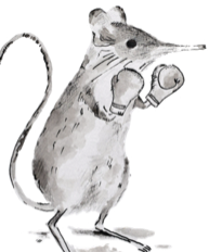 Second Mouse Plan – Medium