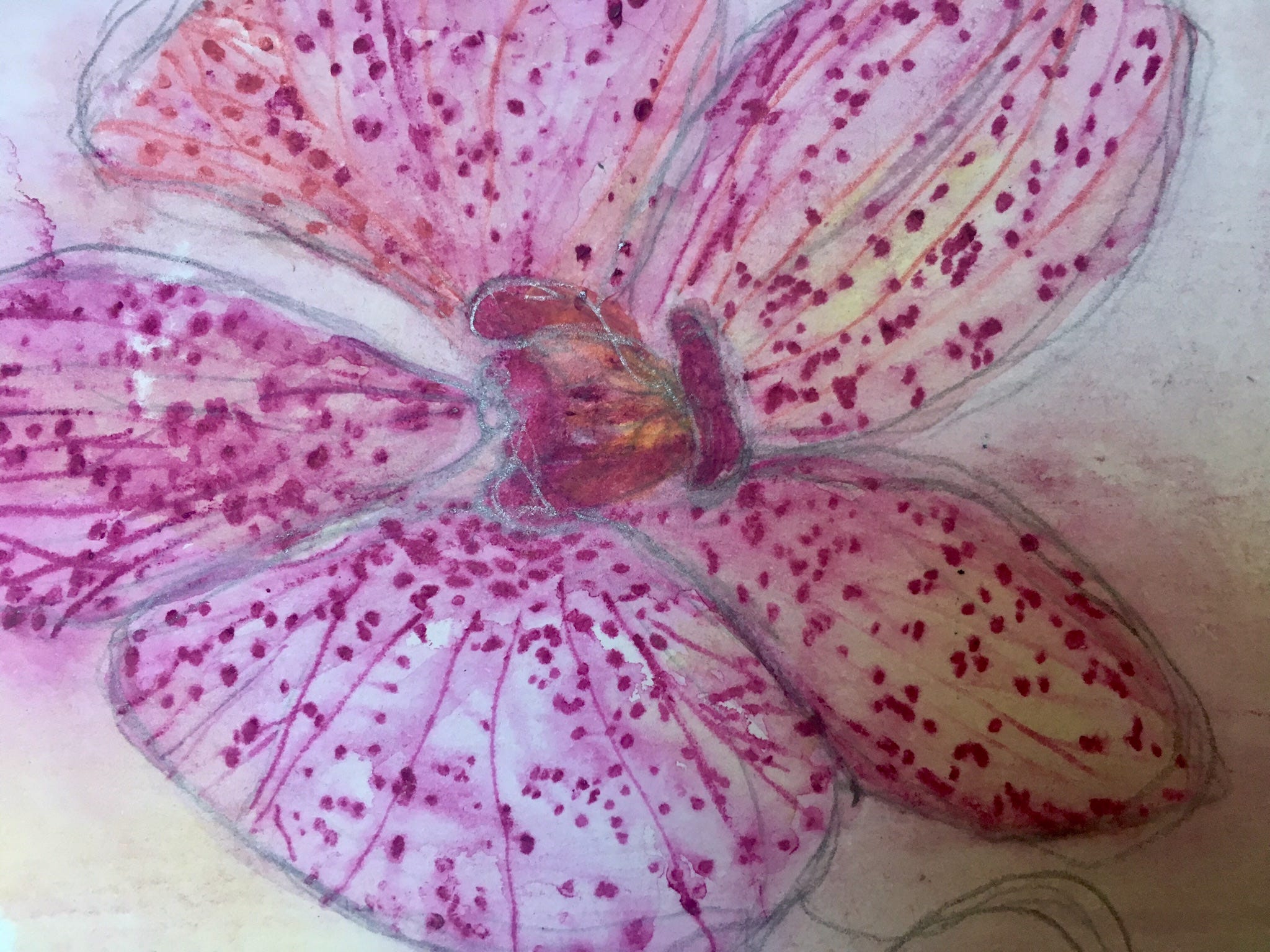 About – Cath Barrett – Medium