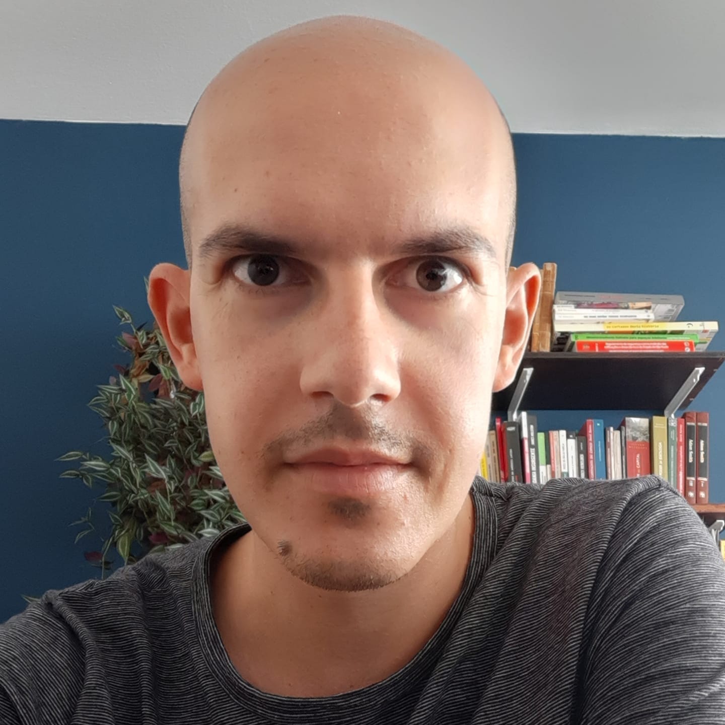 Alex Sartori – Medium