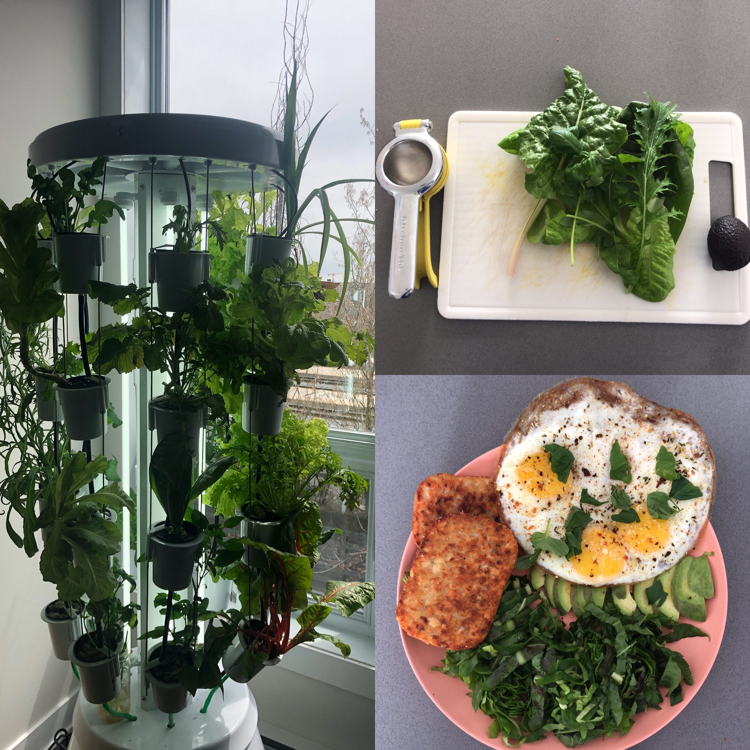 Nutritower – Medium