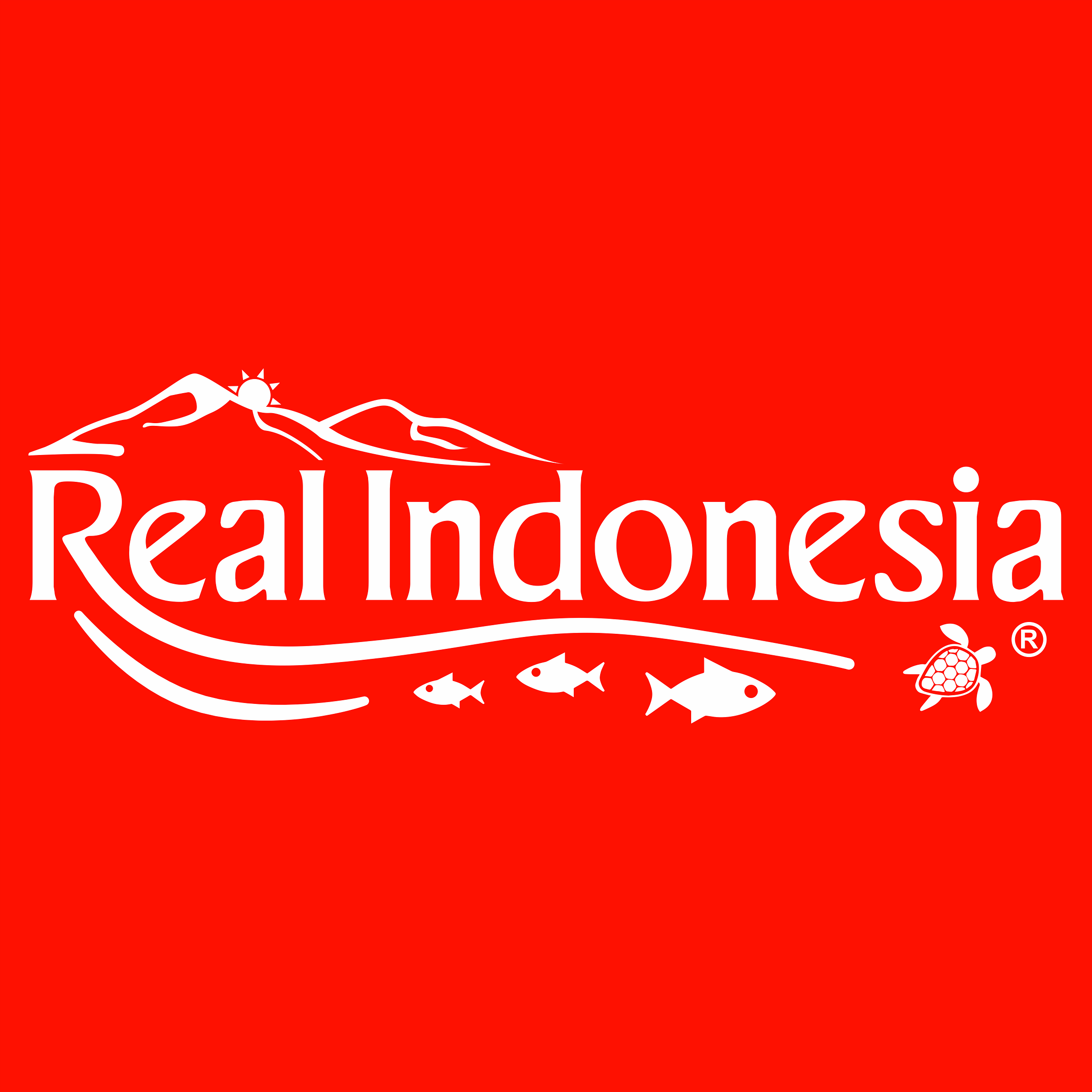 Real Indonesia – Medium