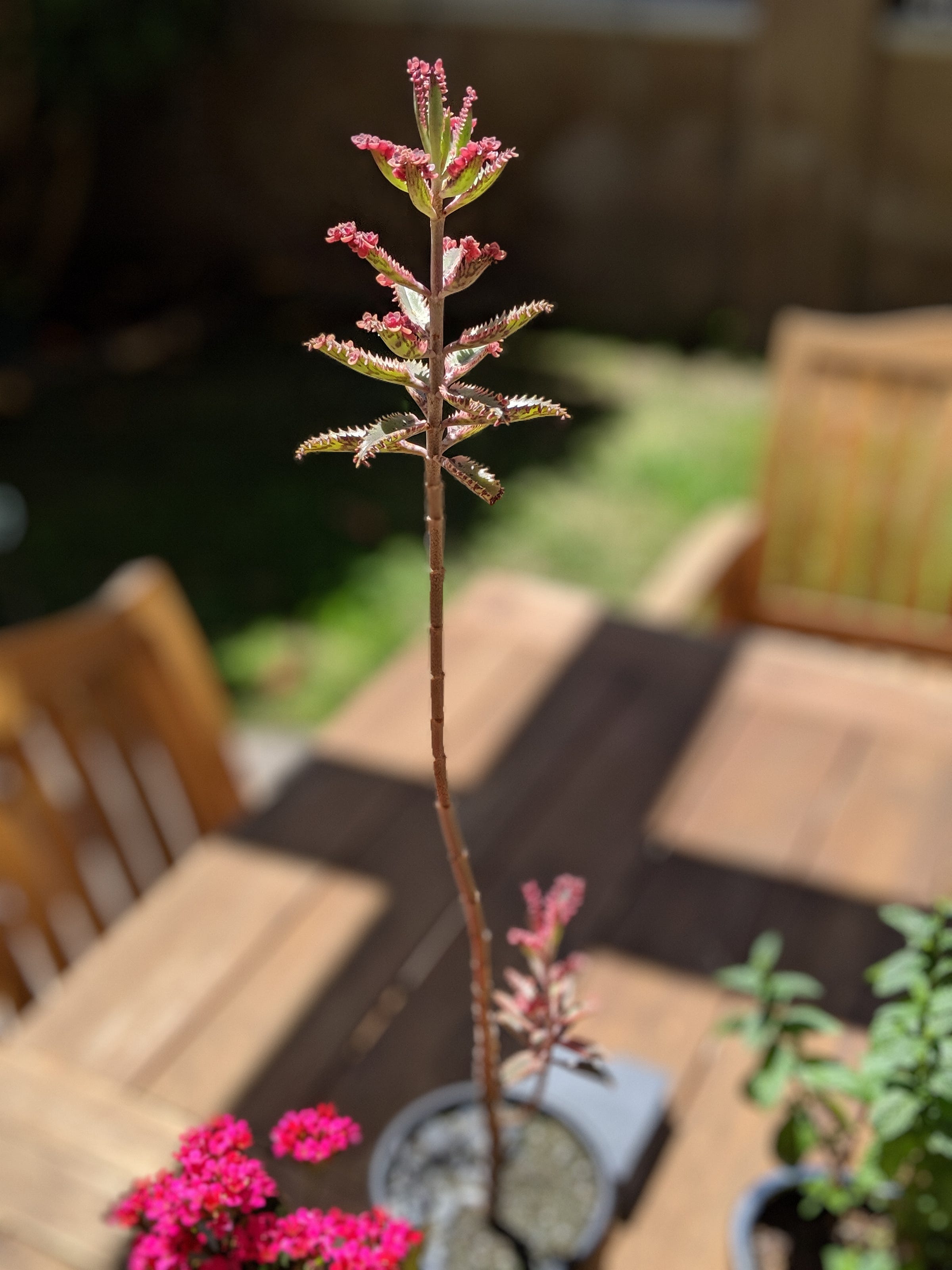 Justin Ricci – Medium