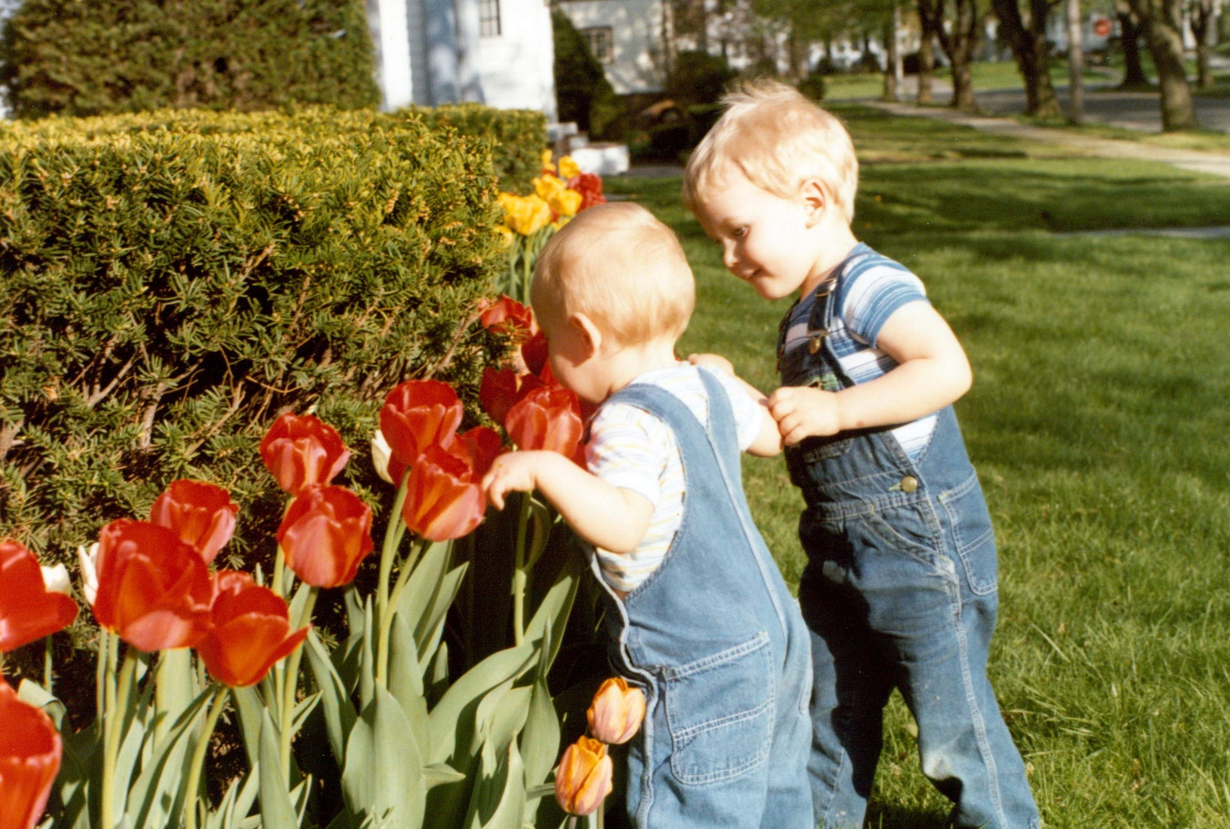 John Clemente – Medium