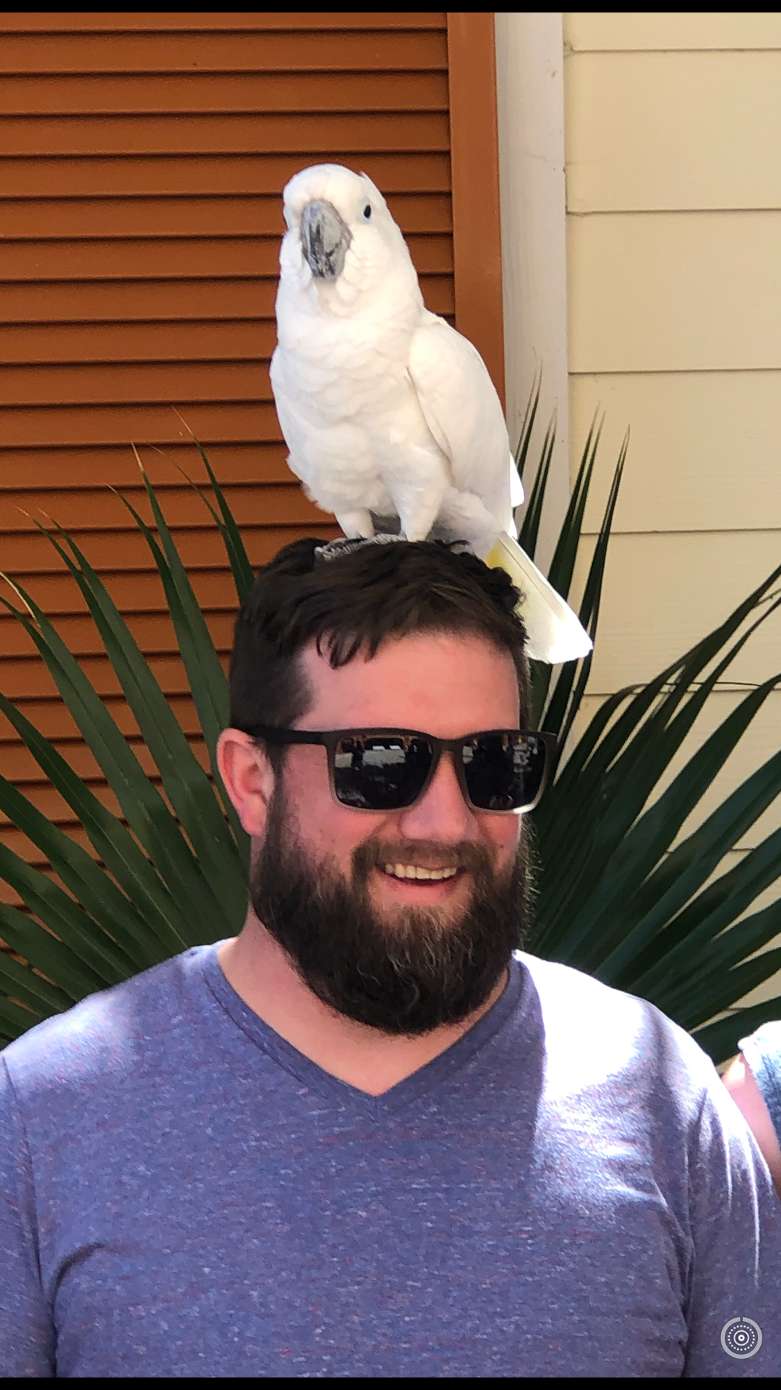Jason Sanderson – Medium