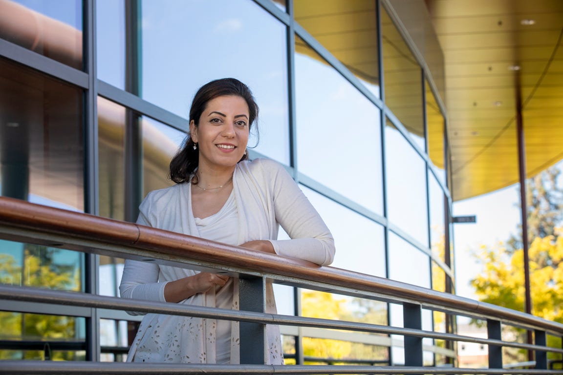 Narges Baniasadi – Medium