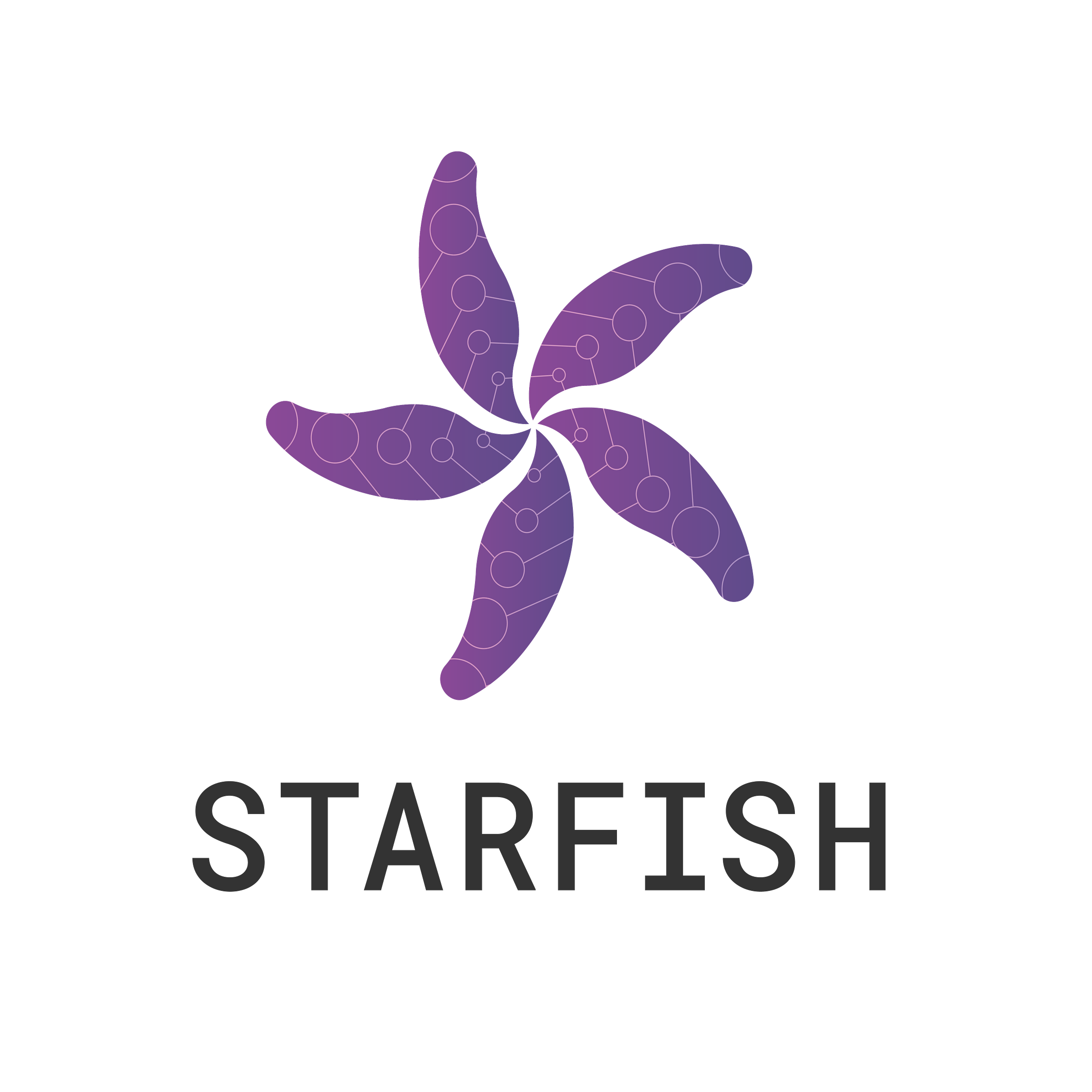 Starfish – Medium