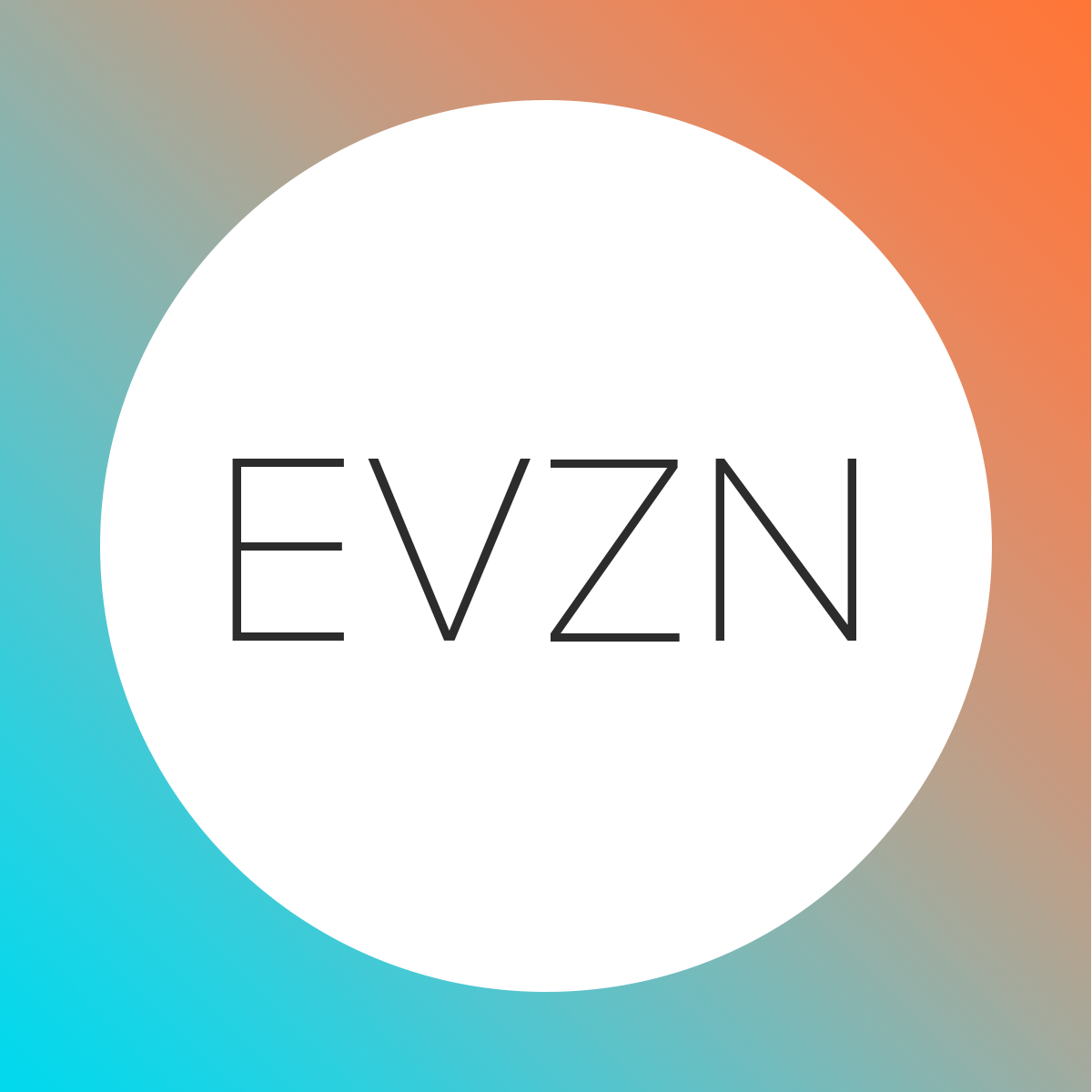 Envizion Group – Medium