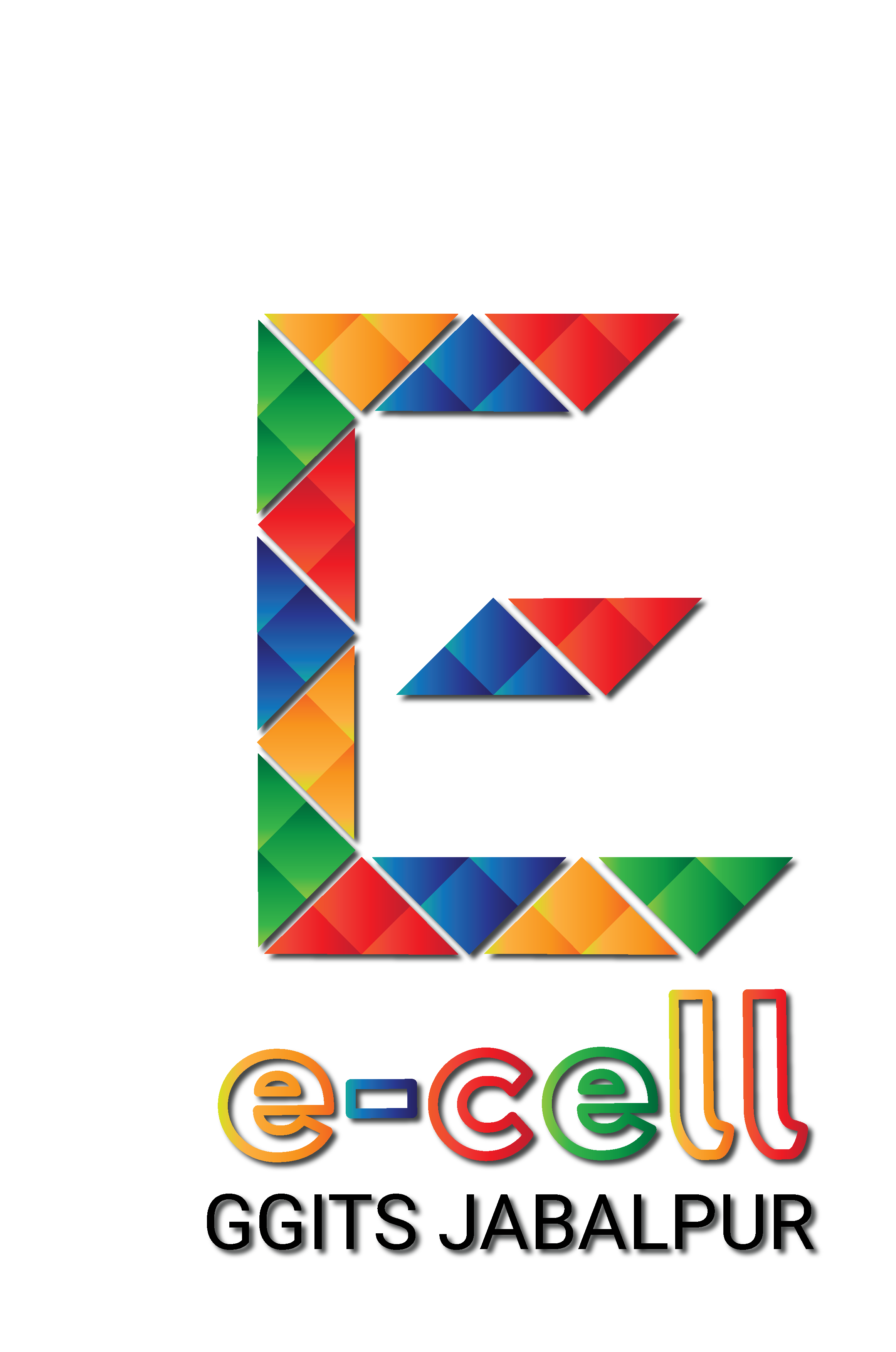 E-Cell, GGITS – Medium