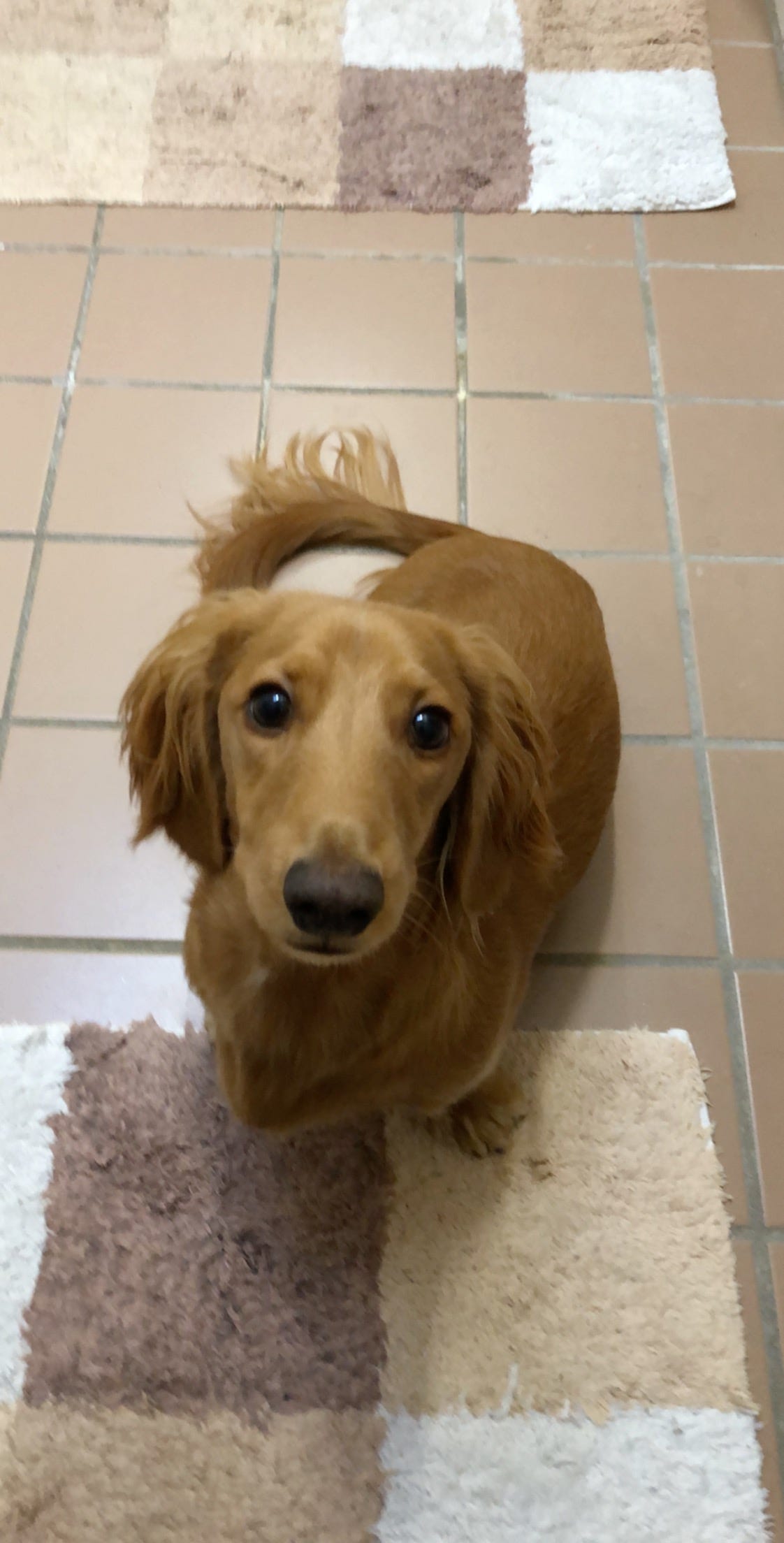 Phoenix Aronis – Medium