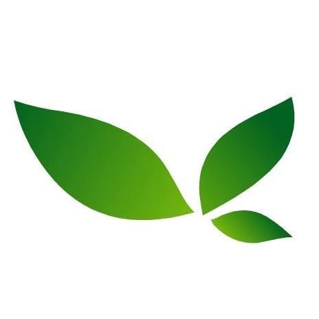 Budwig Center – Medium