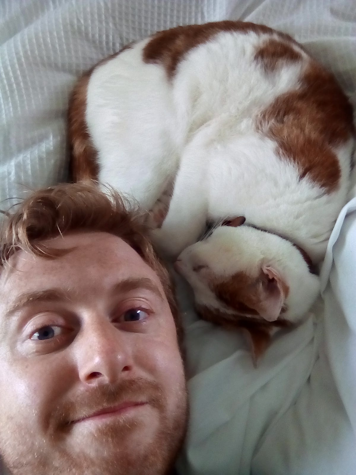 Lewis King — ️Copywriter💡Consultant🎙️Compere – Medium