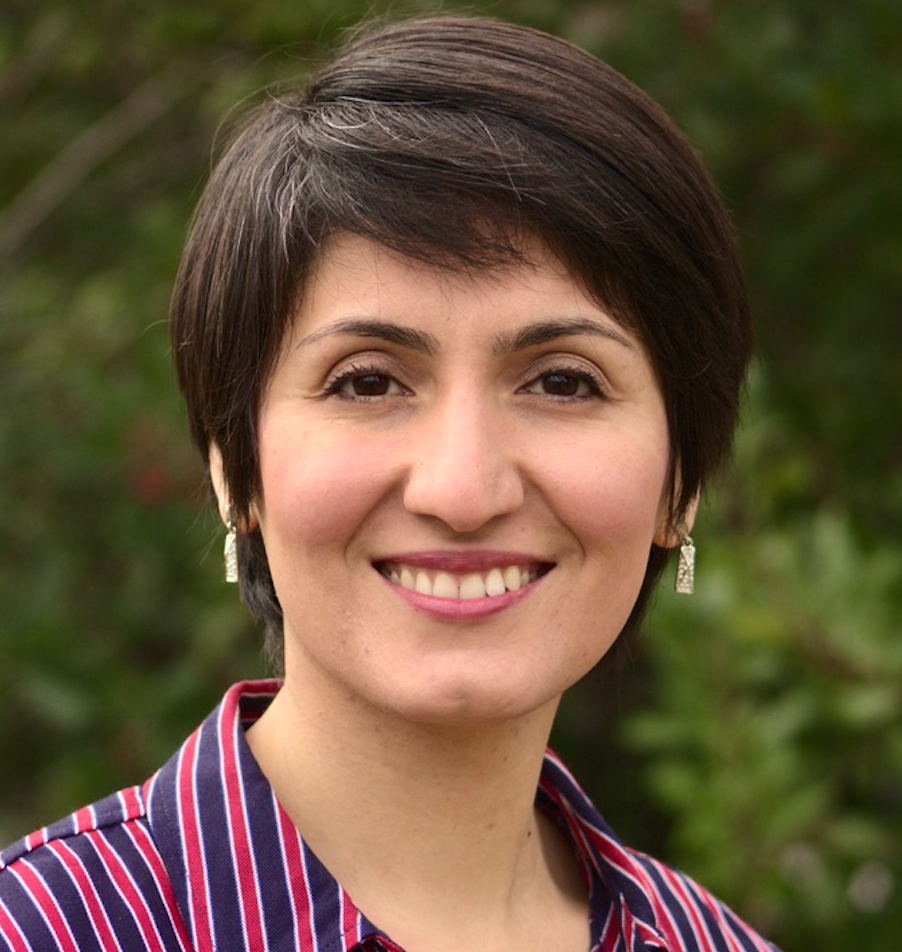 Sahar Pirmoradian on Medium curated some lists