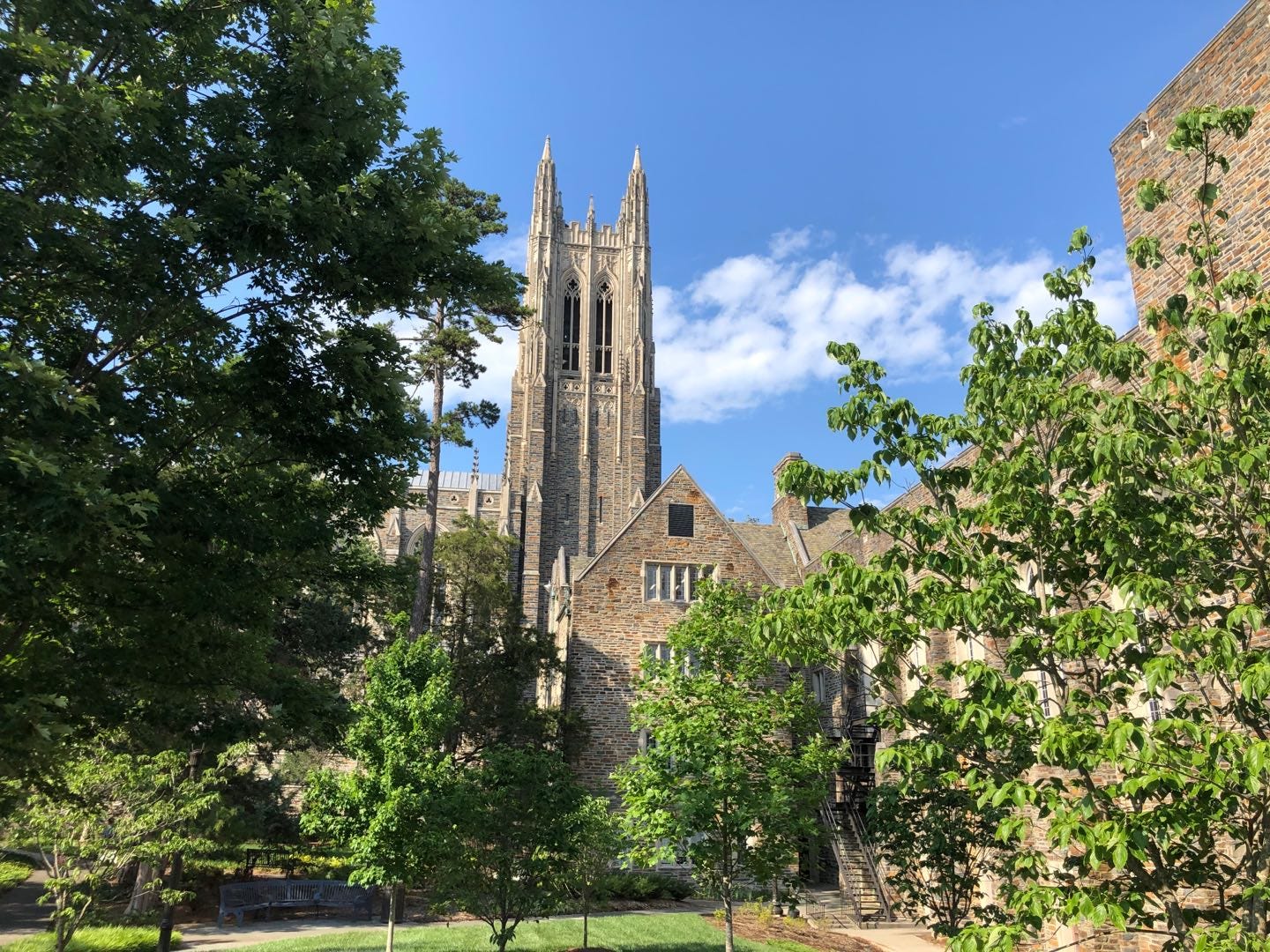 Alina Yang – Medium