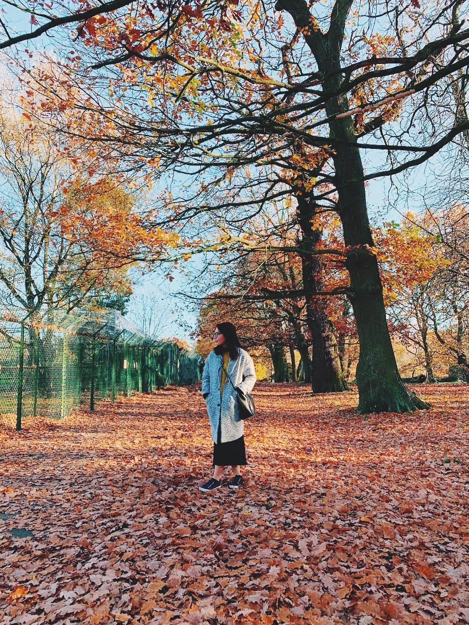 Marie Drake – Medium