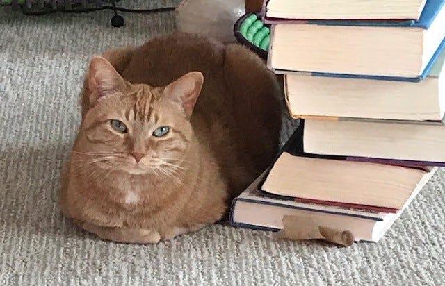 Pat Zietlow Miller – Medium