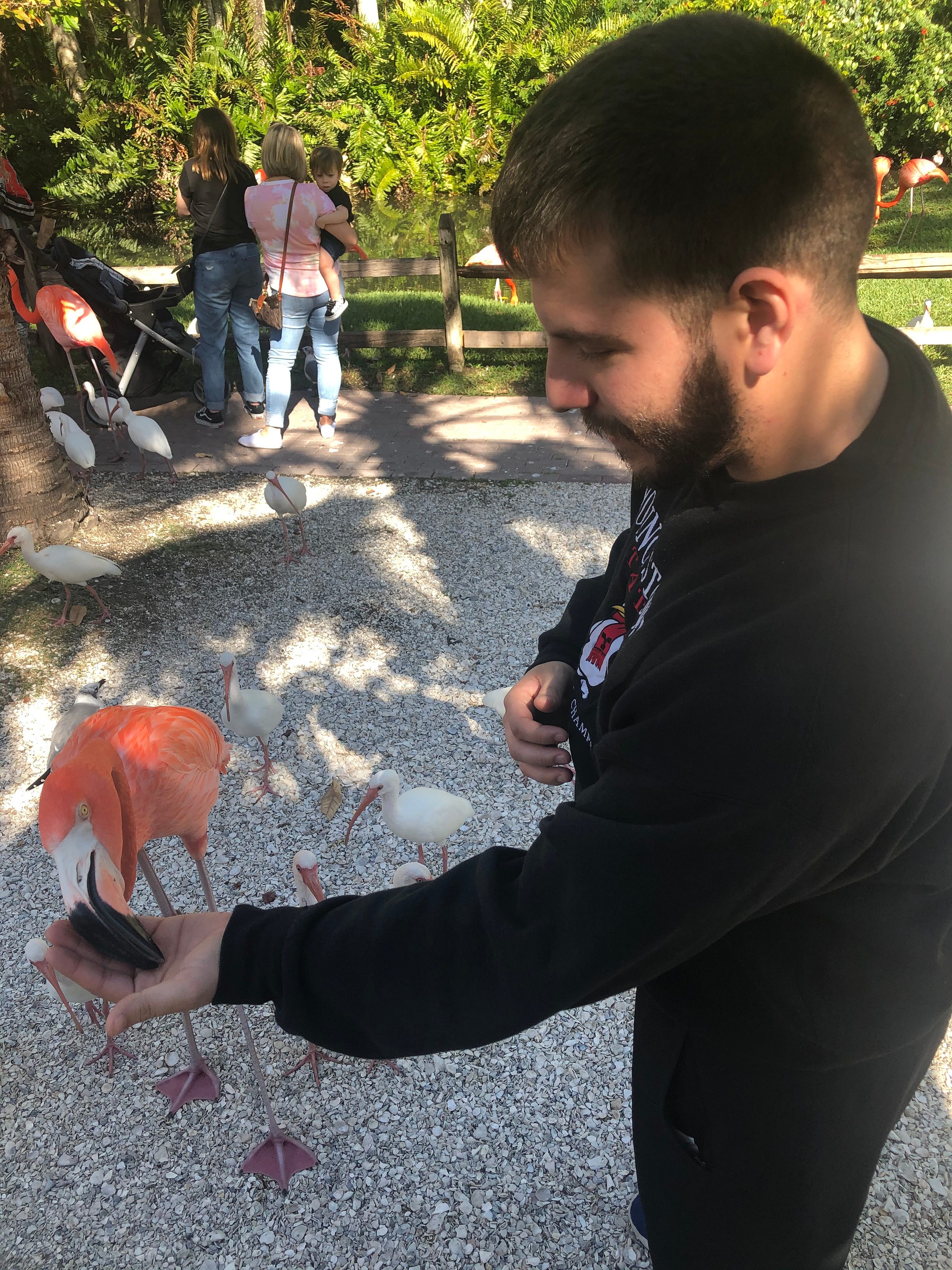 About – Jordan M. Wolfe – Medium