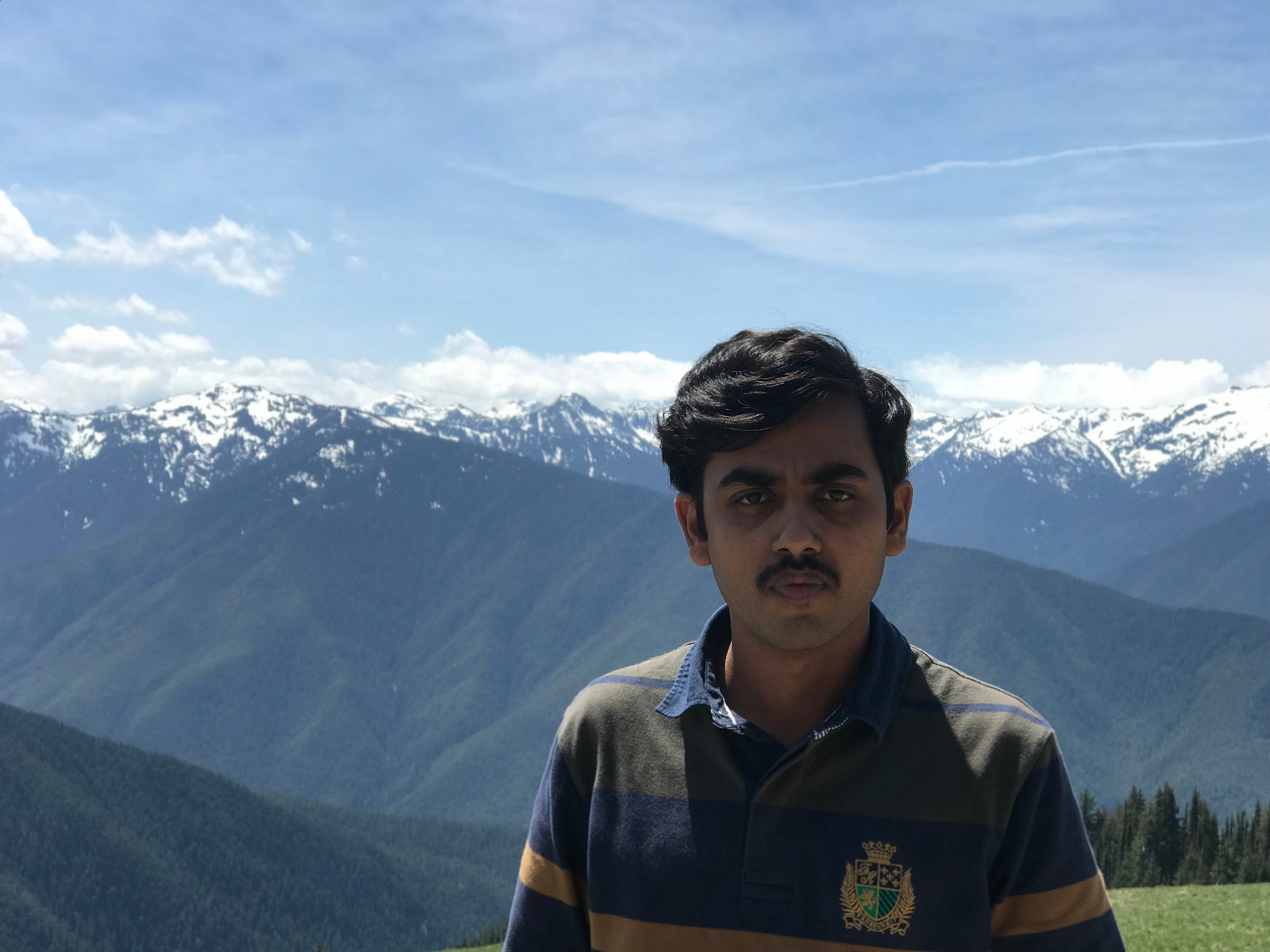 Vishwas bv – Medium