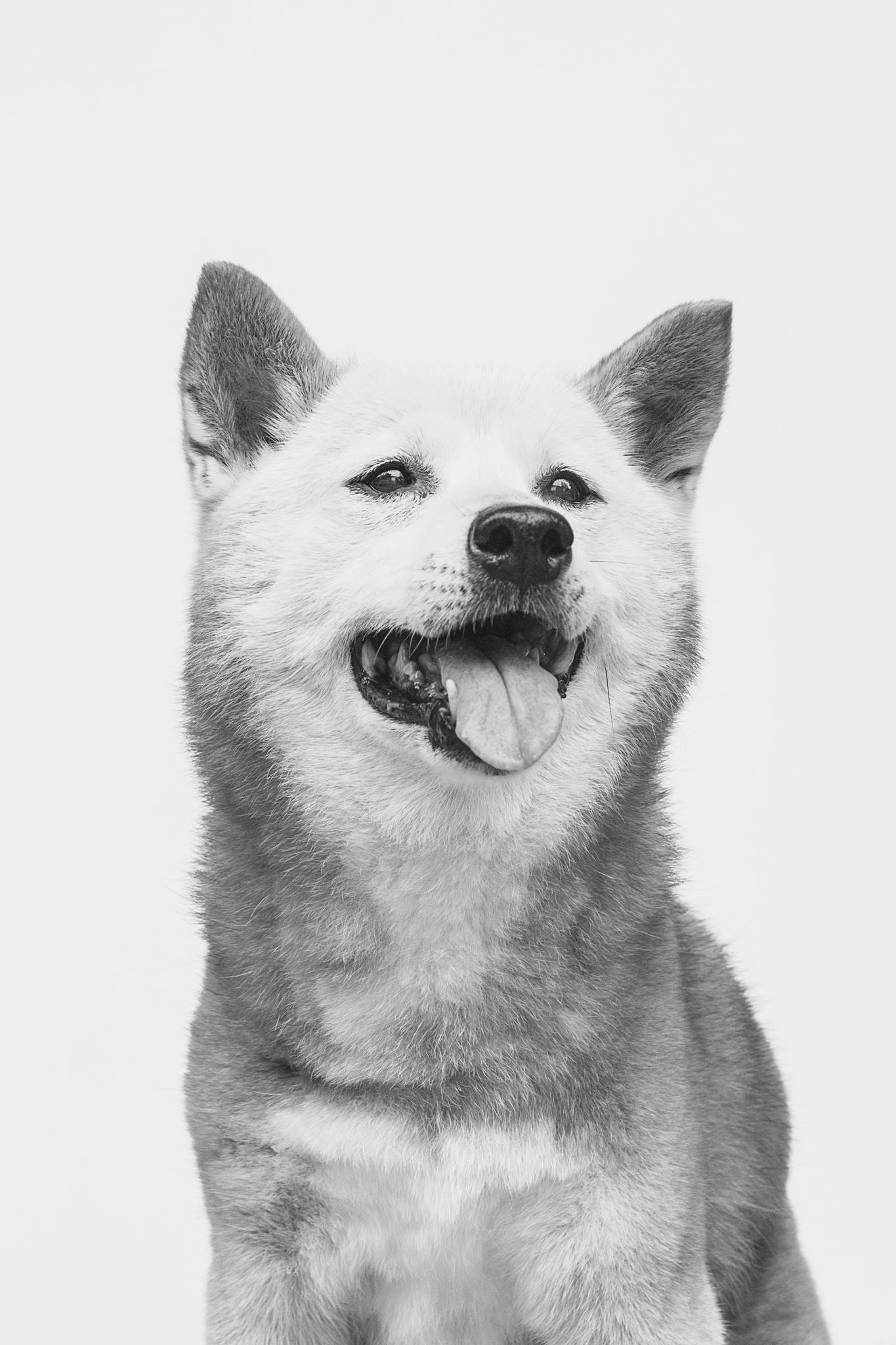 Lisa Chang on Medium curated some lists