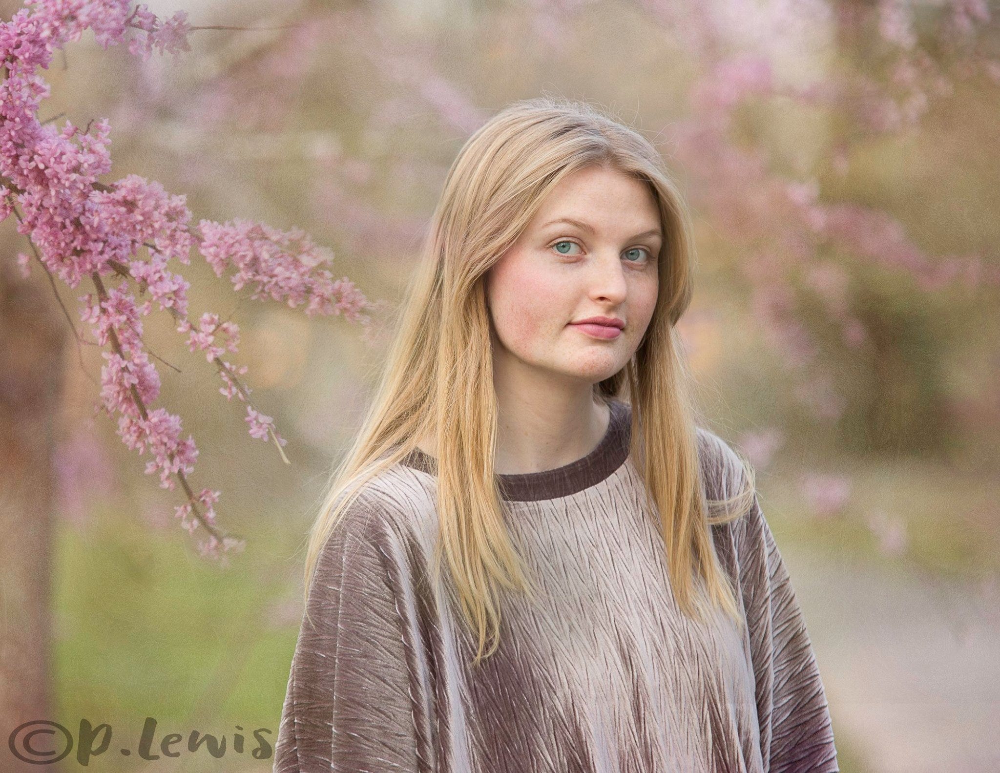 Victoria A Lewis – Medium