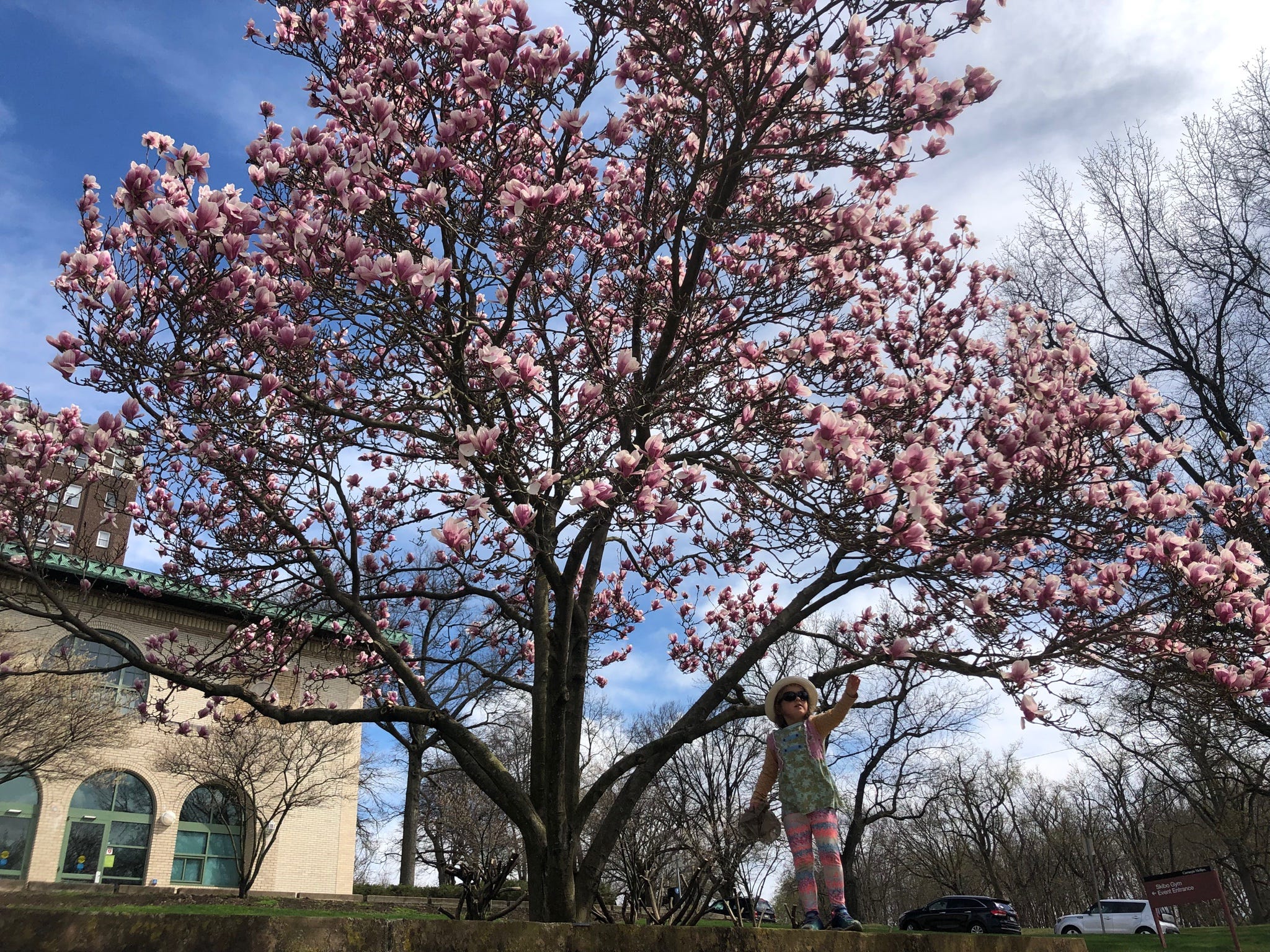 Natalie Rose Greene – Medium