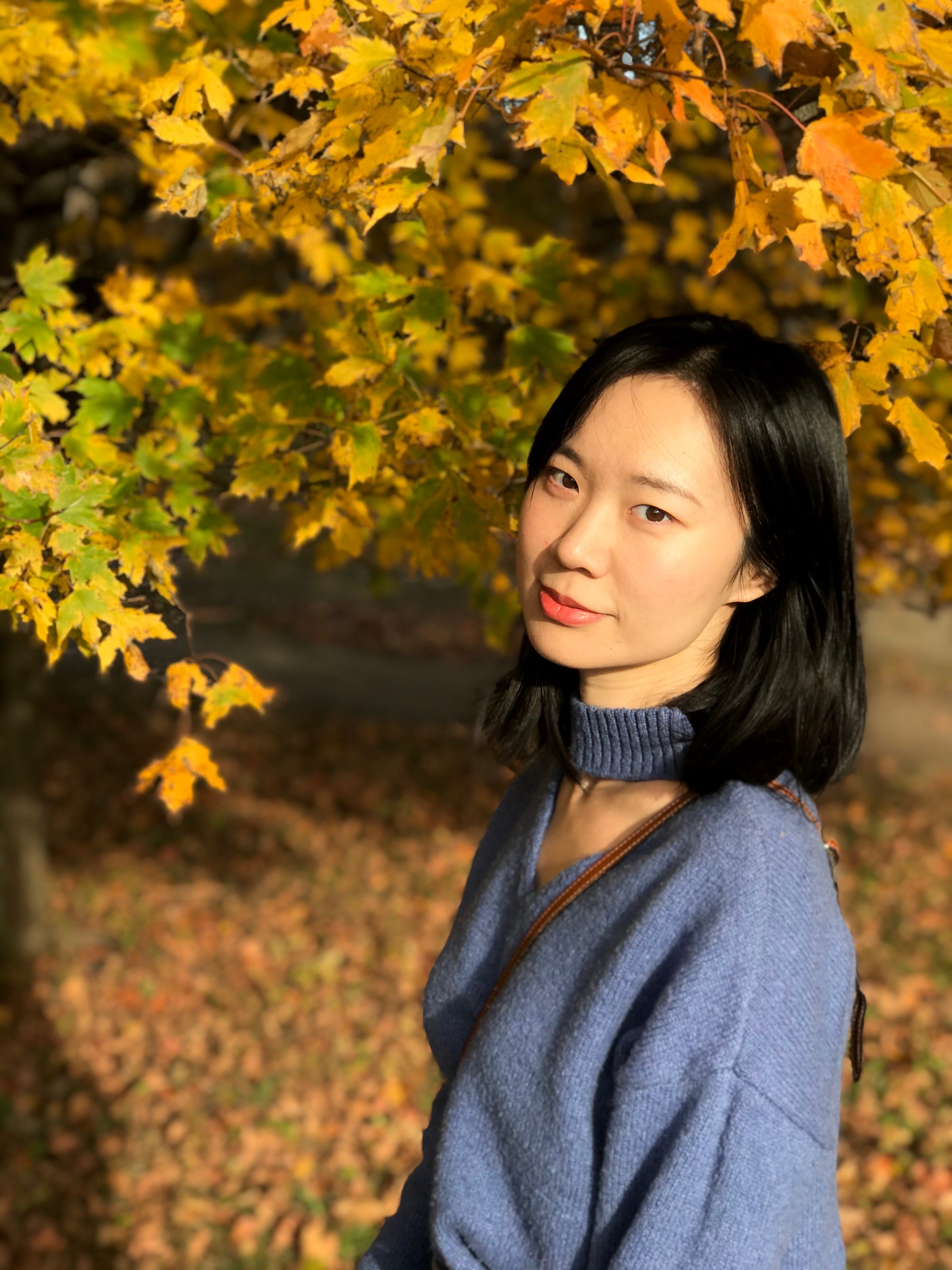 Xin Su – Medium