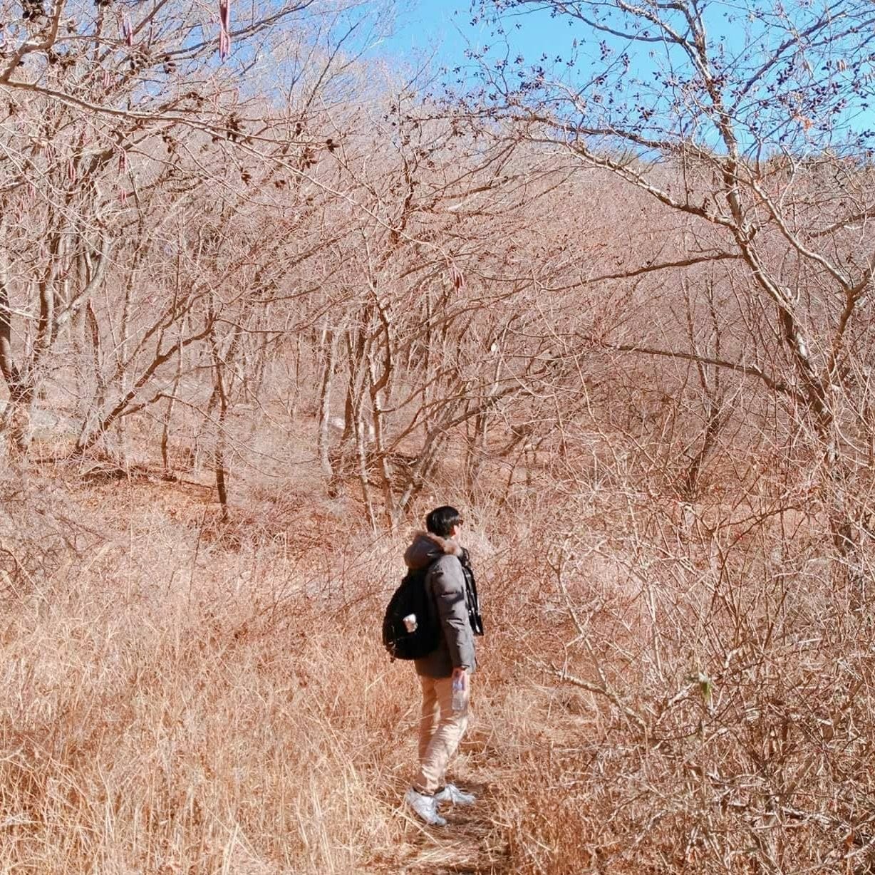 Ryan Yang on Medium curated some lists